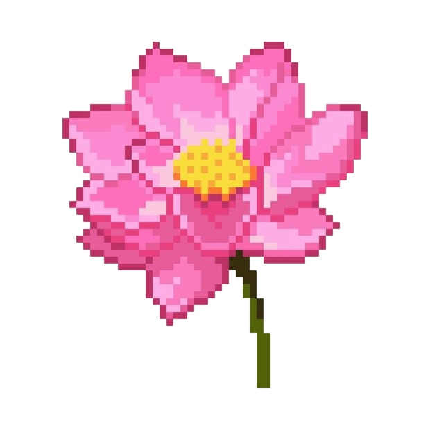 Zenith Network | Welcome